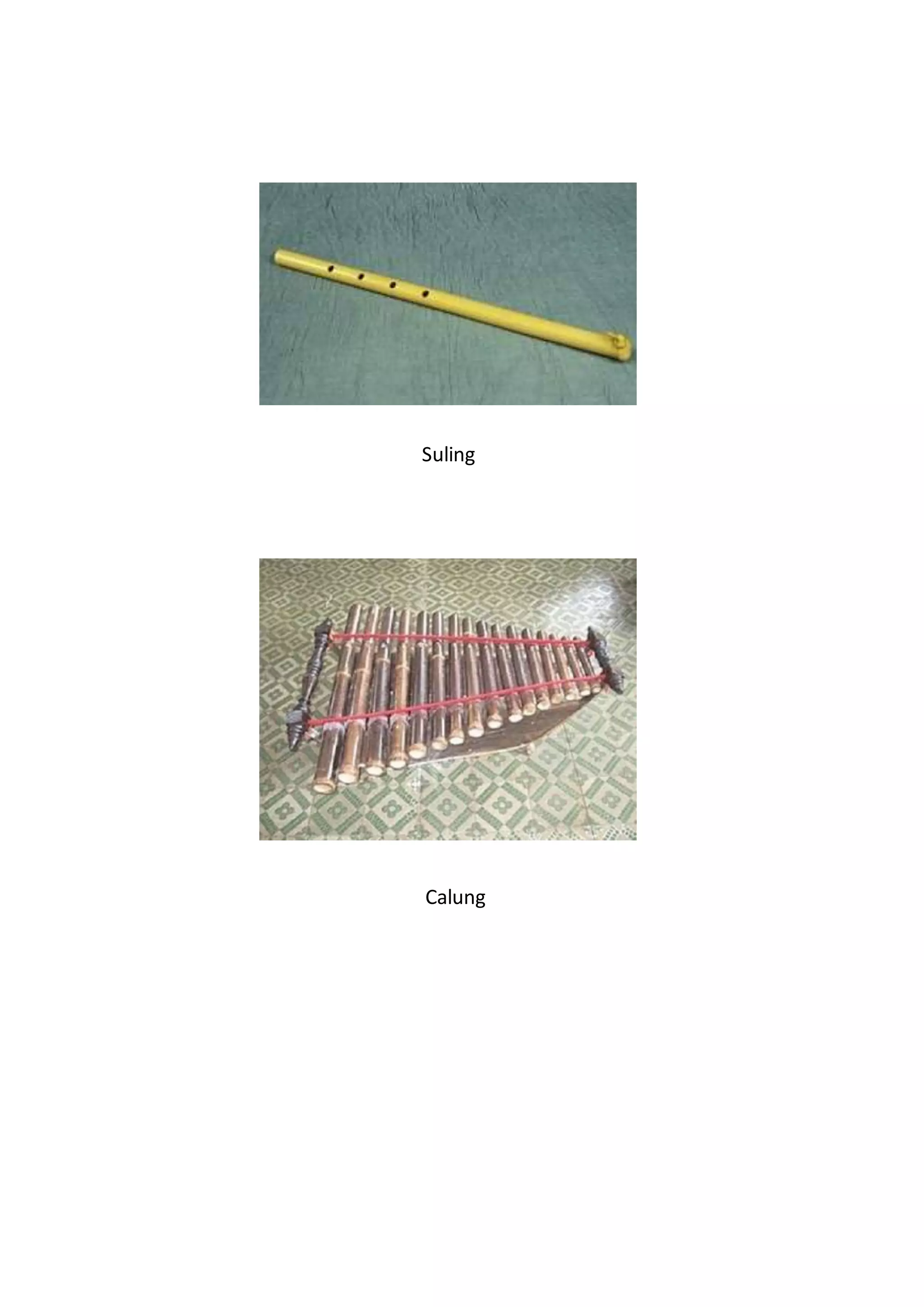 Alat musik tradisional indonesia | DOCX