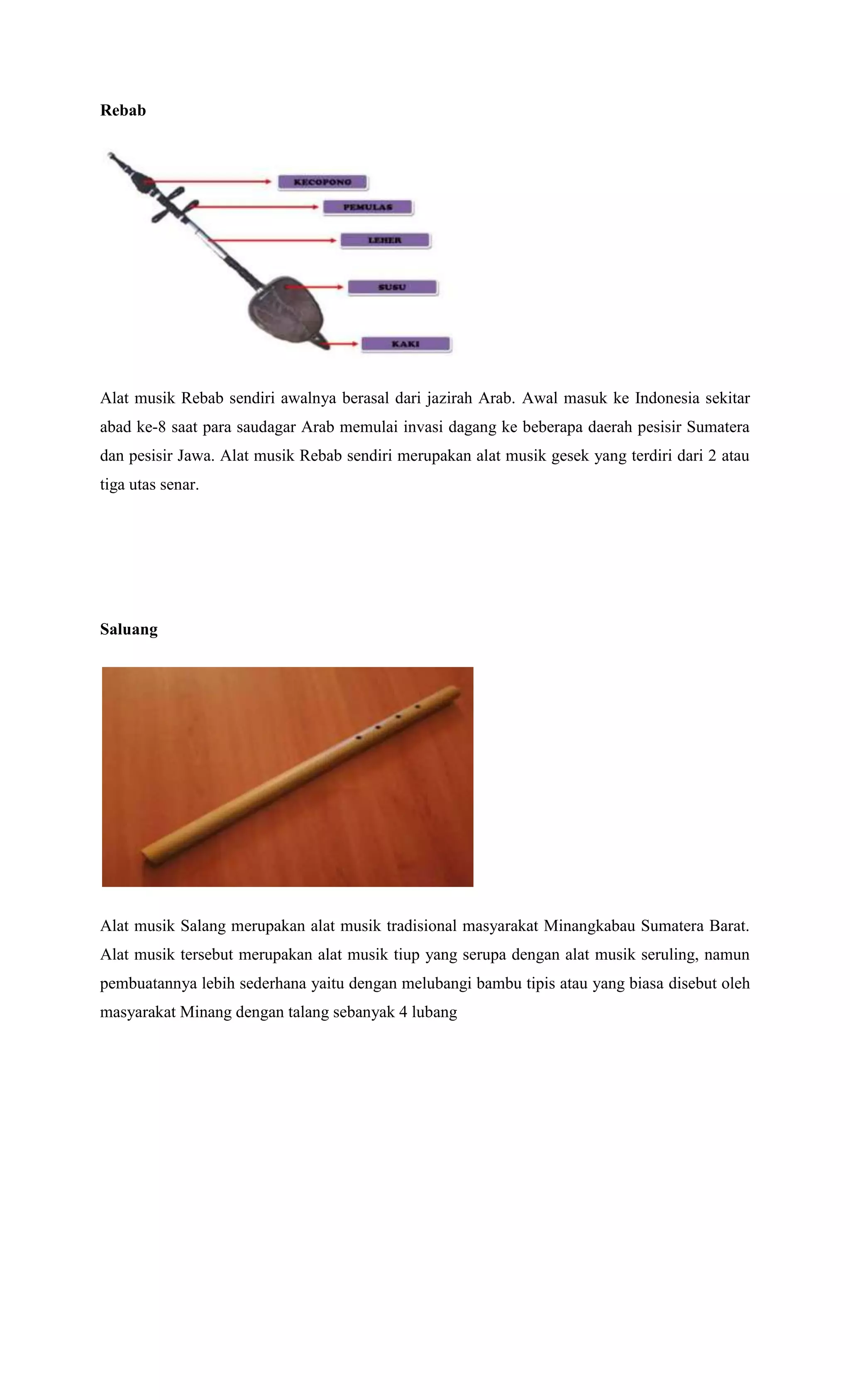 Alat musik tradisional indonesia dan asalny1 | DOCX