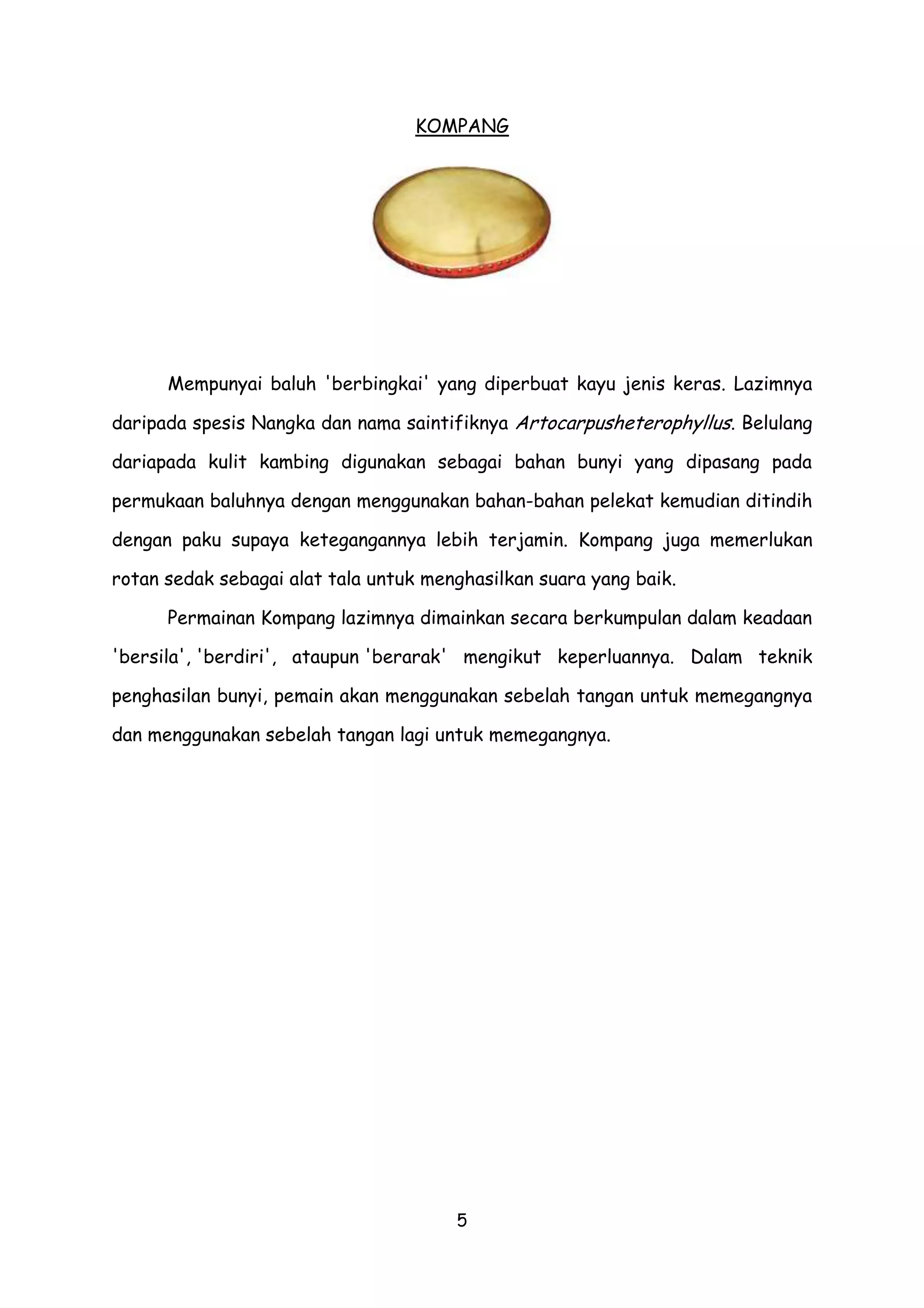 Alat muzik tradisional | DOCX