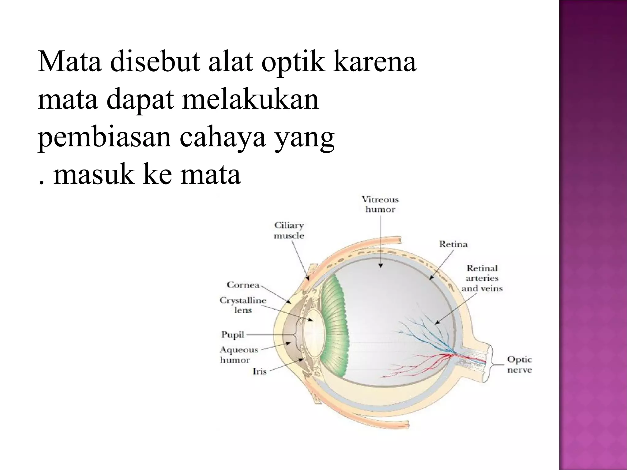 Alat optik | PPT
