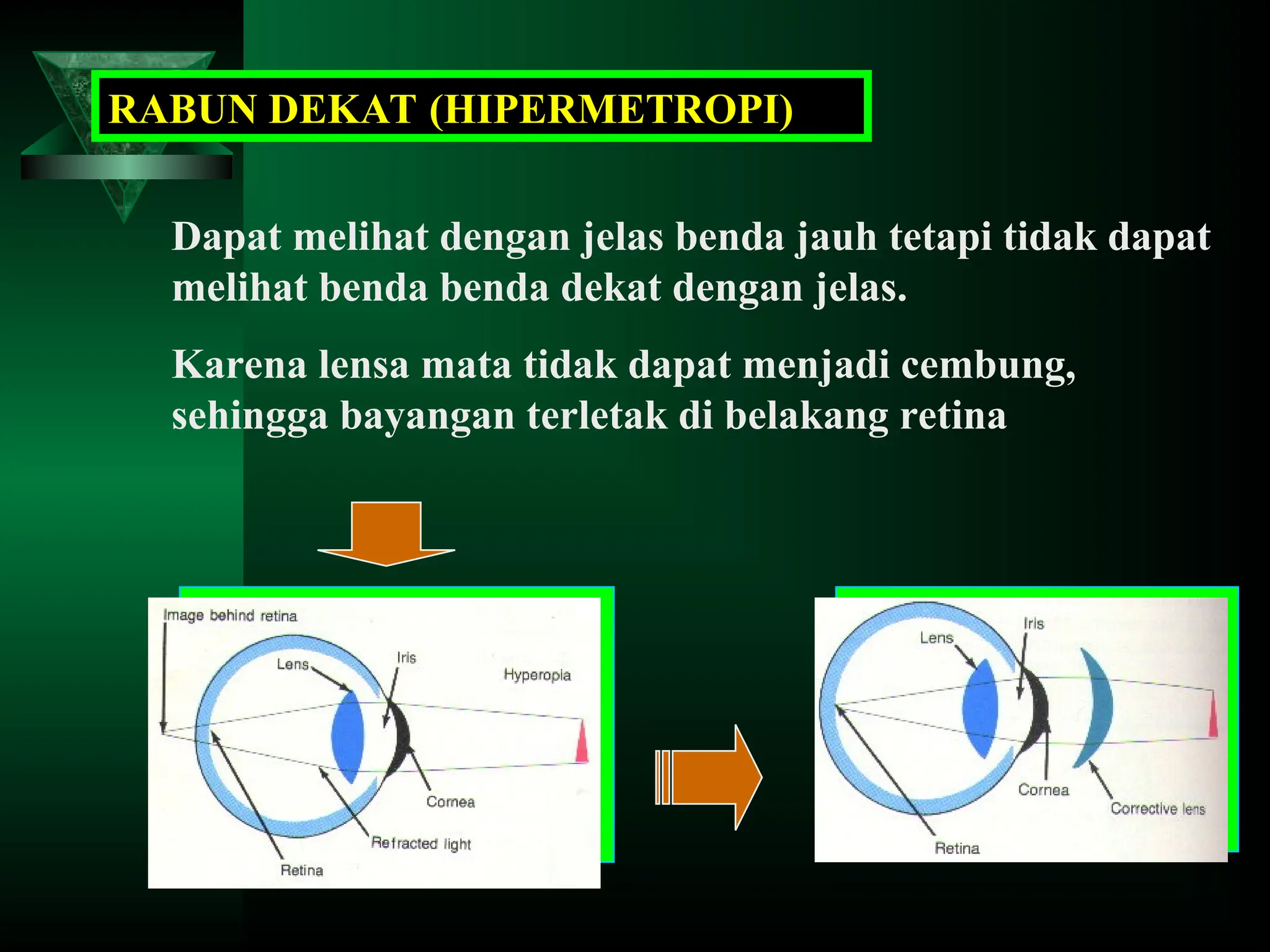 Slide presentatsi Alat Optik (2018-19).ppt