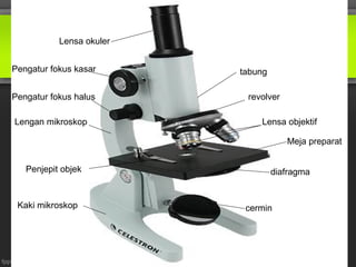 Alat optik dalam kehidupan sehari hari | PPT