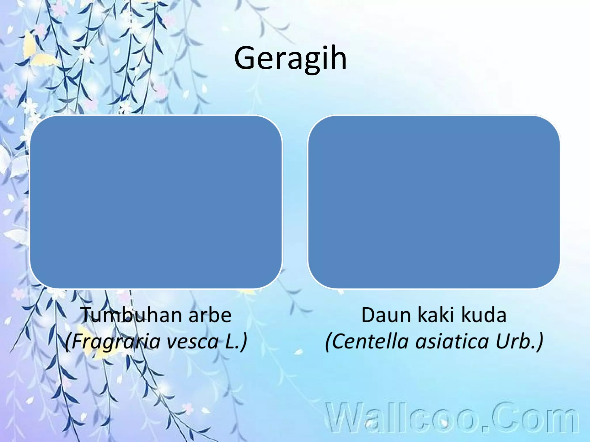 Alat perkembangbiakan tumbuhan dan persebaran tumbuhan | PPT