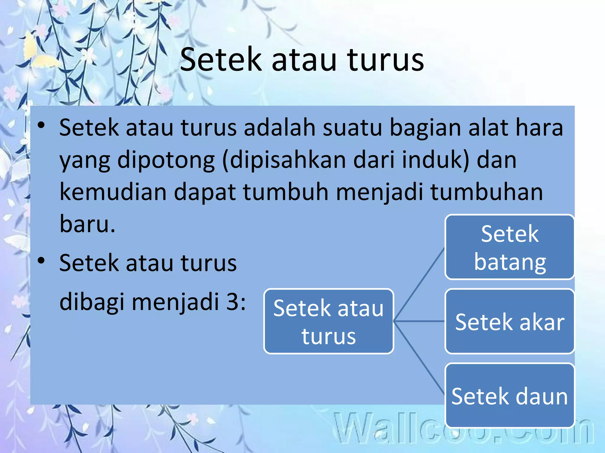 Alat perkembangbiakan tumbuhan dan persebaran tumbuhan | PPT