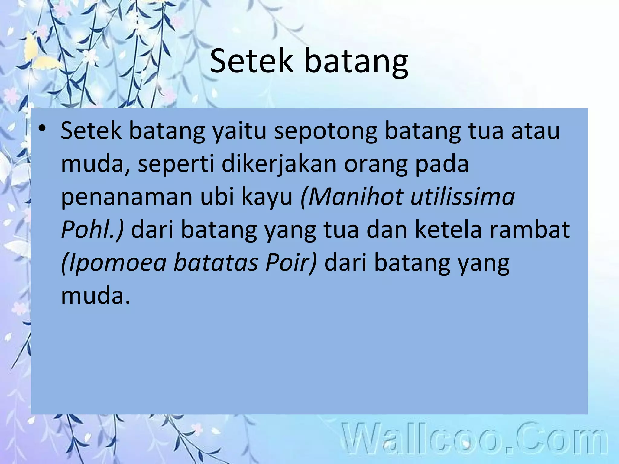 Alat perkembangbiakan tumbuhan dan persebaran tumbuhan | PPT