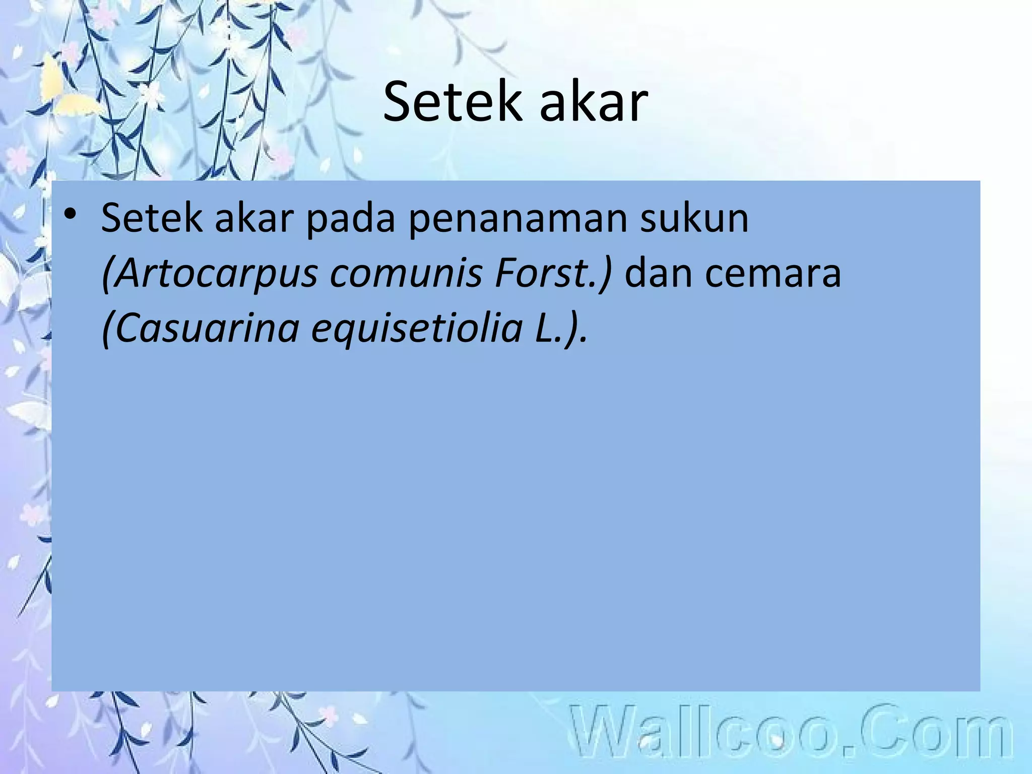 Alat perkembangbiakan tumbuhan dan persebaran tumbuhan | PPT