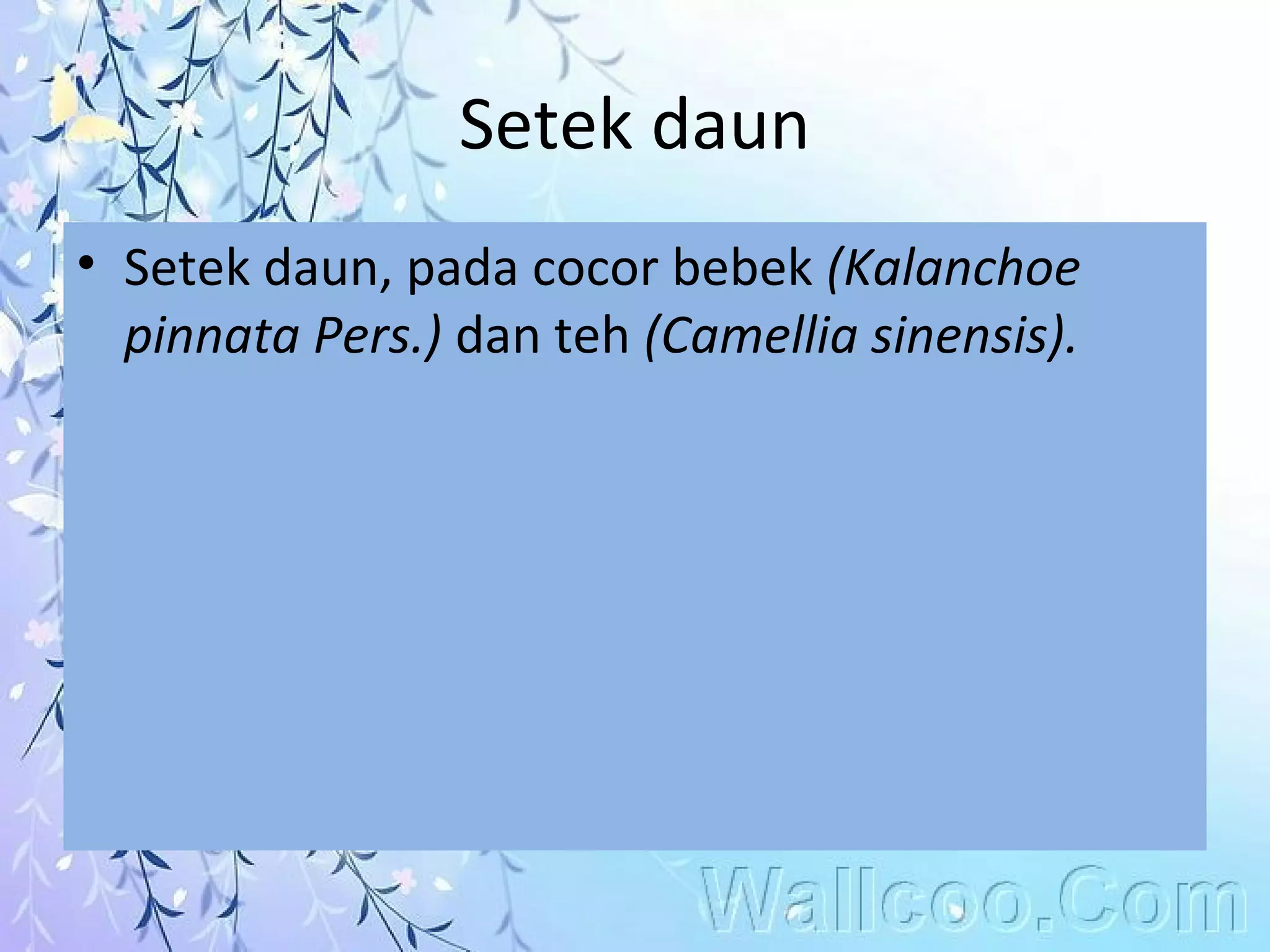 Alat perkembangbiakan tumbuhan dan persebaran tumbuhan | PPT