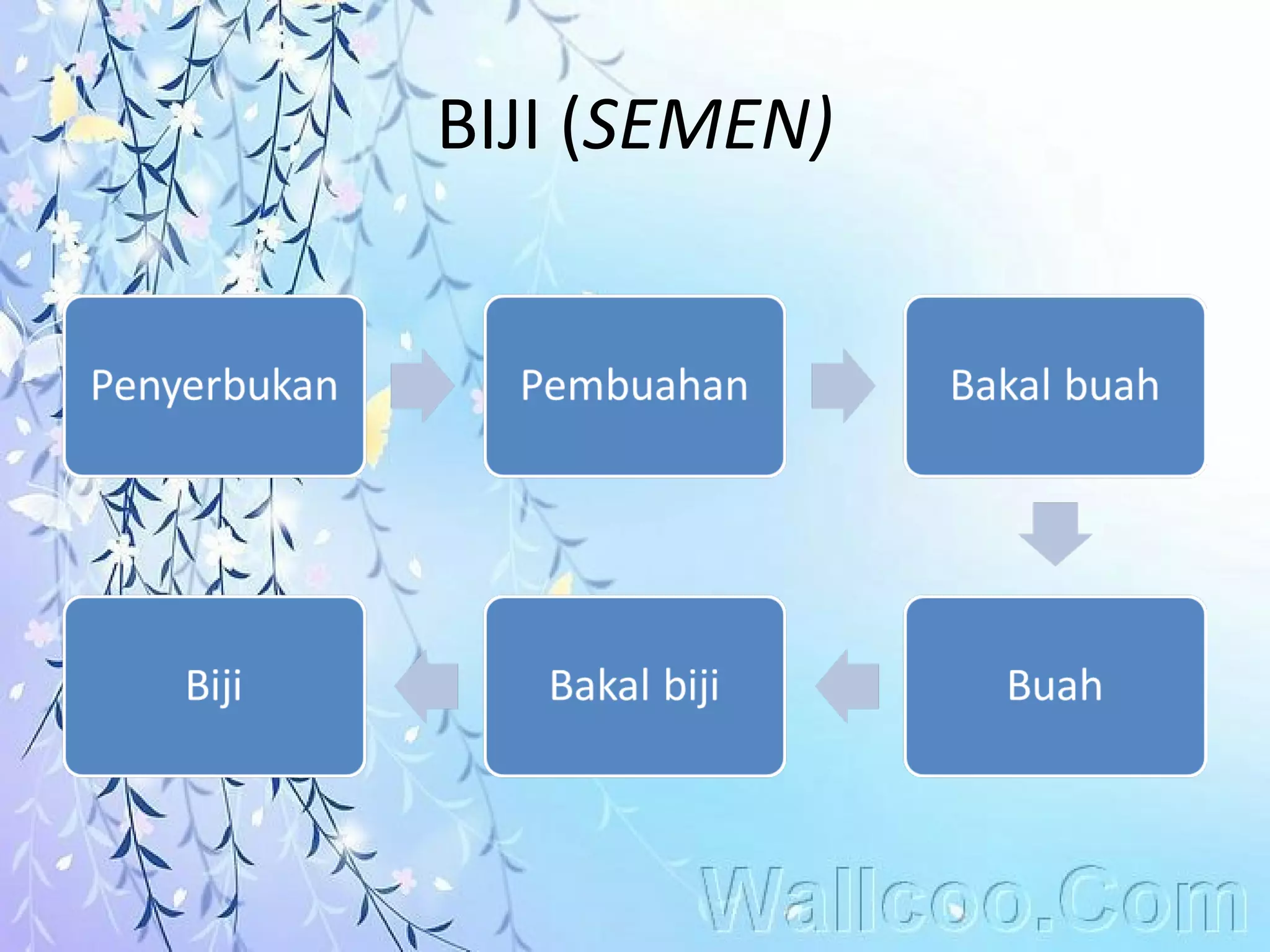 Alat perkembangbiakan tumbuhan dan persebaran tumbuhan | PPT