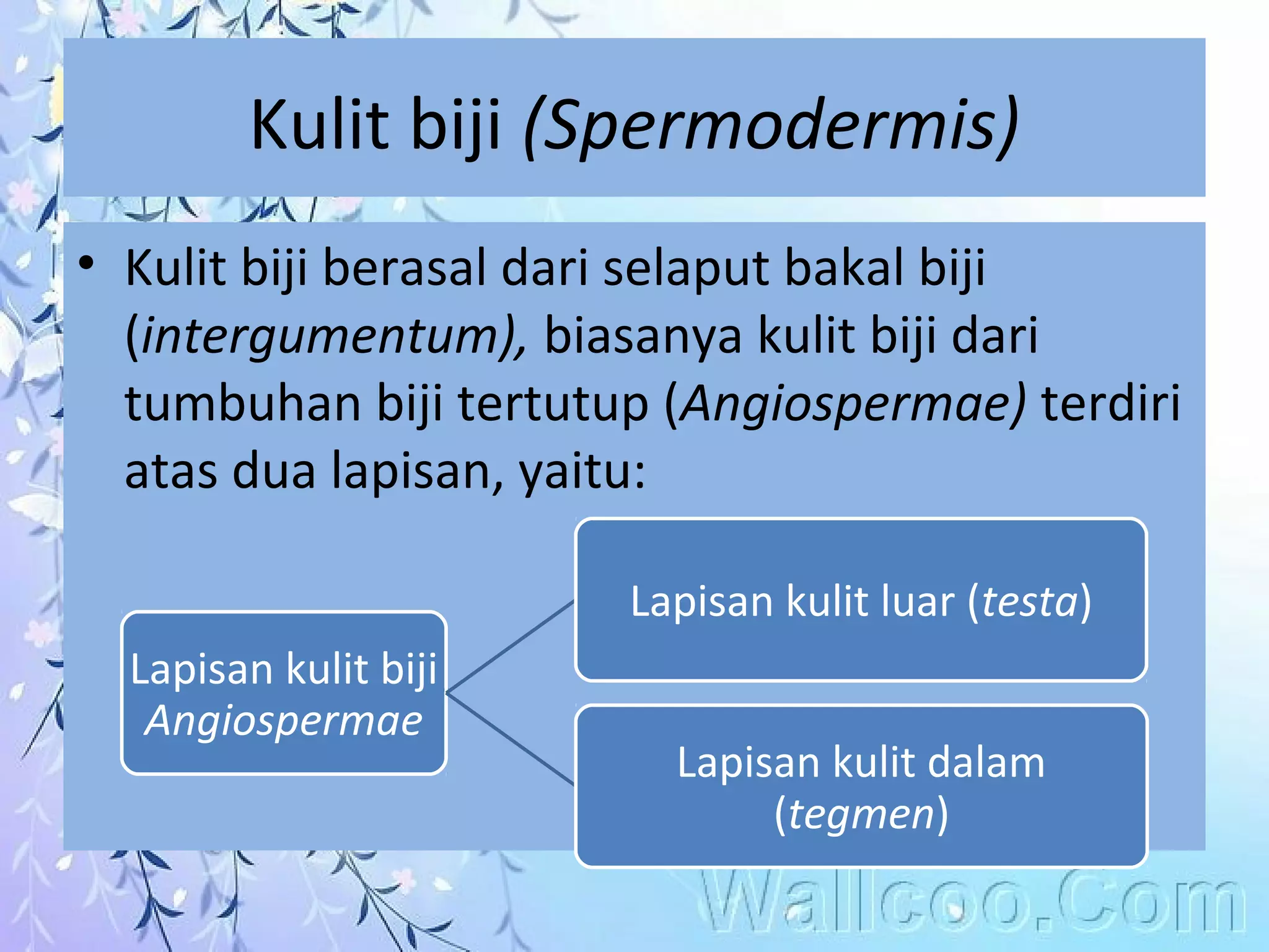 Alat perkembangbiakan tumbuhan dan persebaran tumbuhan | PPT