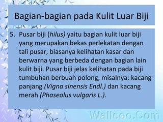 Alat perkembangbiakan tumbuhan dan persebaran tumbuhan | PPT
