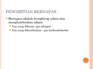 Alat pernafasan manusia | PPT