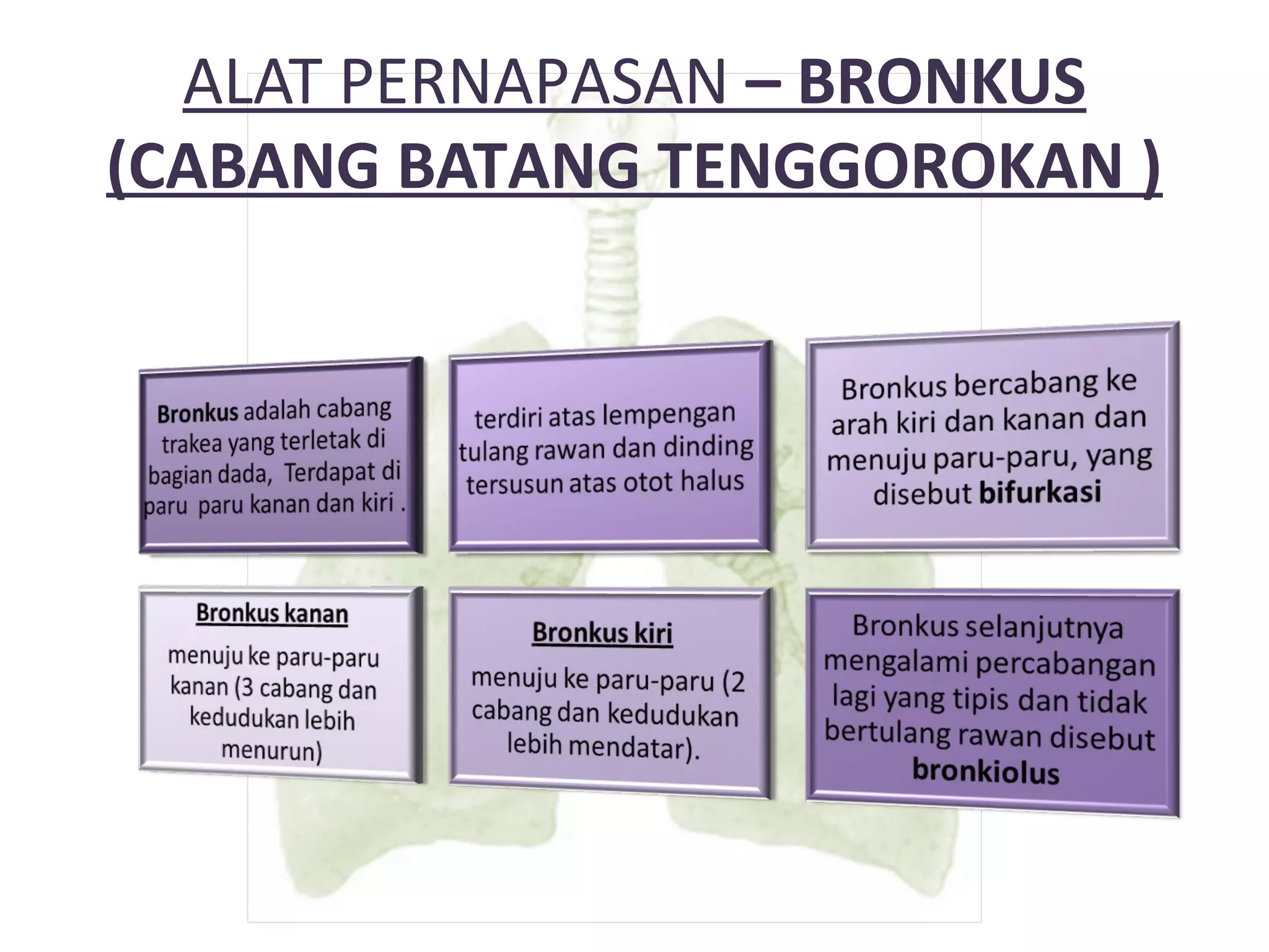 Alat Pernapasan Manusia | PPT