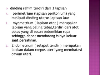 Alat reproduksi | PPTX