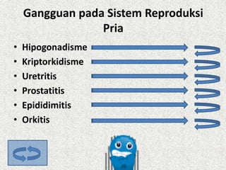 Alat reproduksi laki laki(1) | PPTX