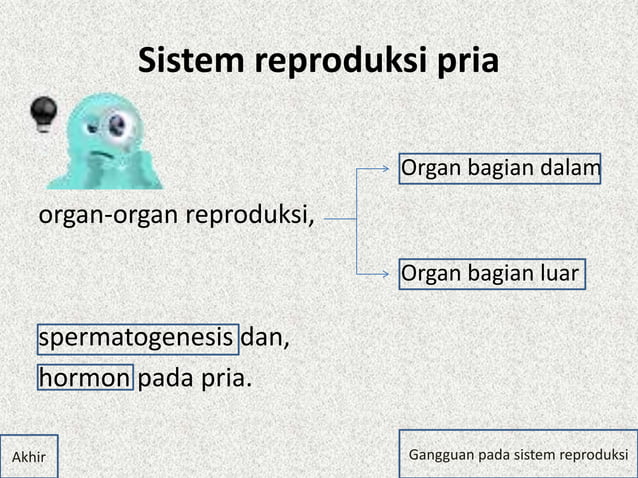 Alat reproduksi laki laki(1) | PPT