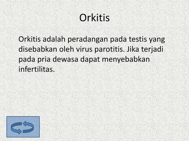 Alat reproduksi laki laki(1) | PPT