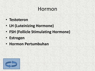 Alat reproduksi laki laki(1) | PPTX