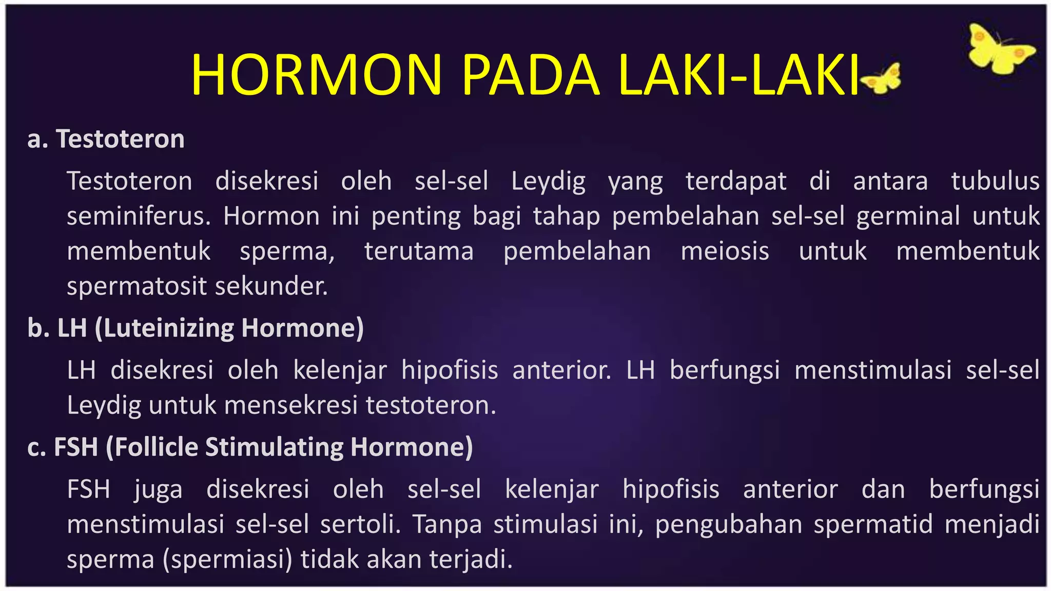 Alat reproduksi pada laki laki ppt | PPTX