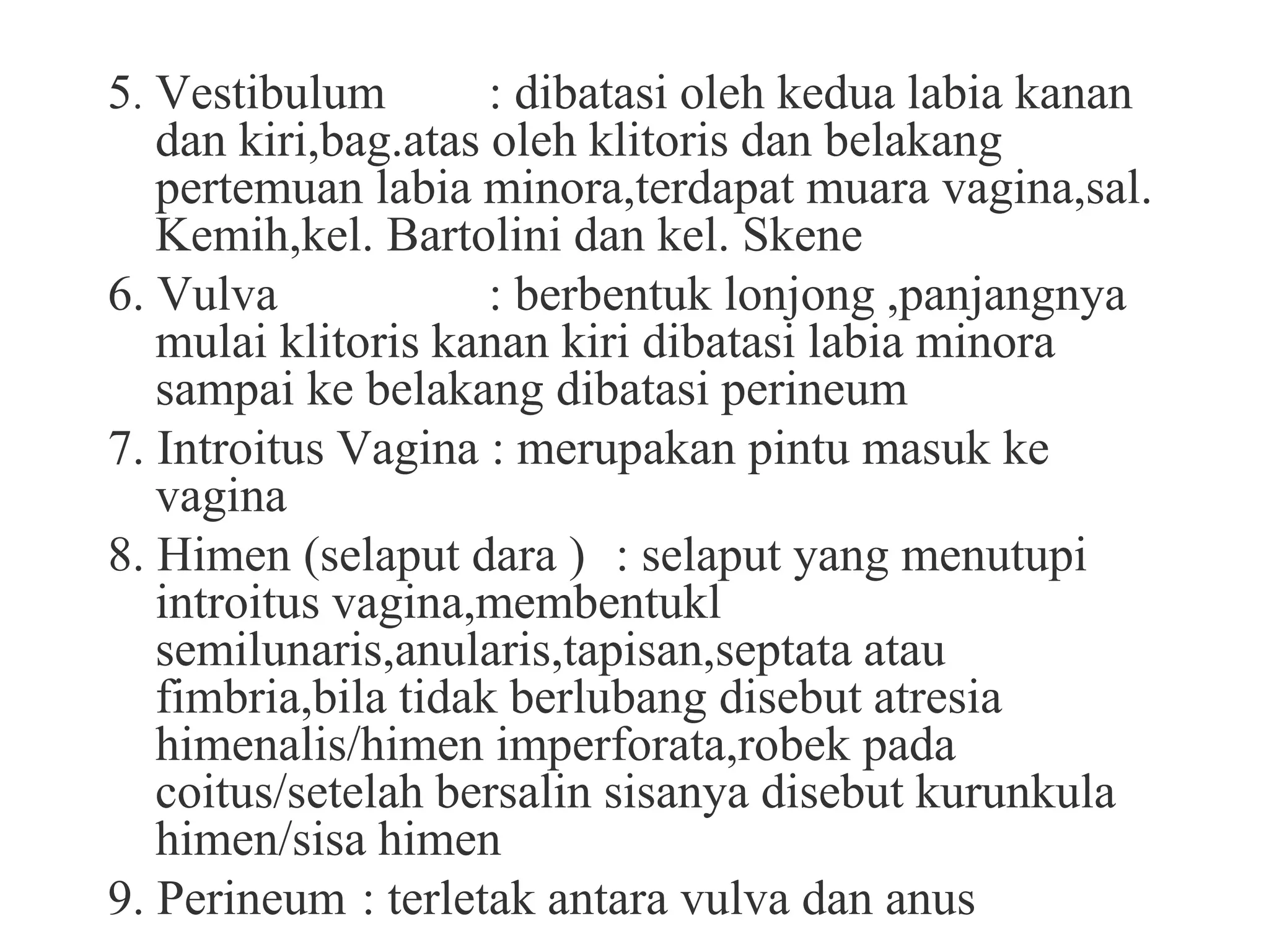 ALAT REPRODUKSI PRIA .ppt
