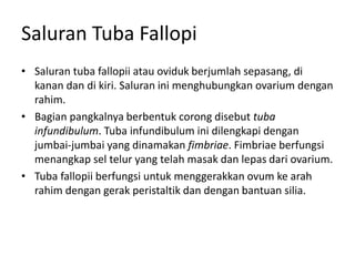 Alat reproduksi wanita | PPTX