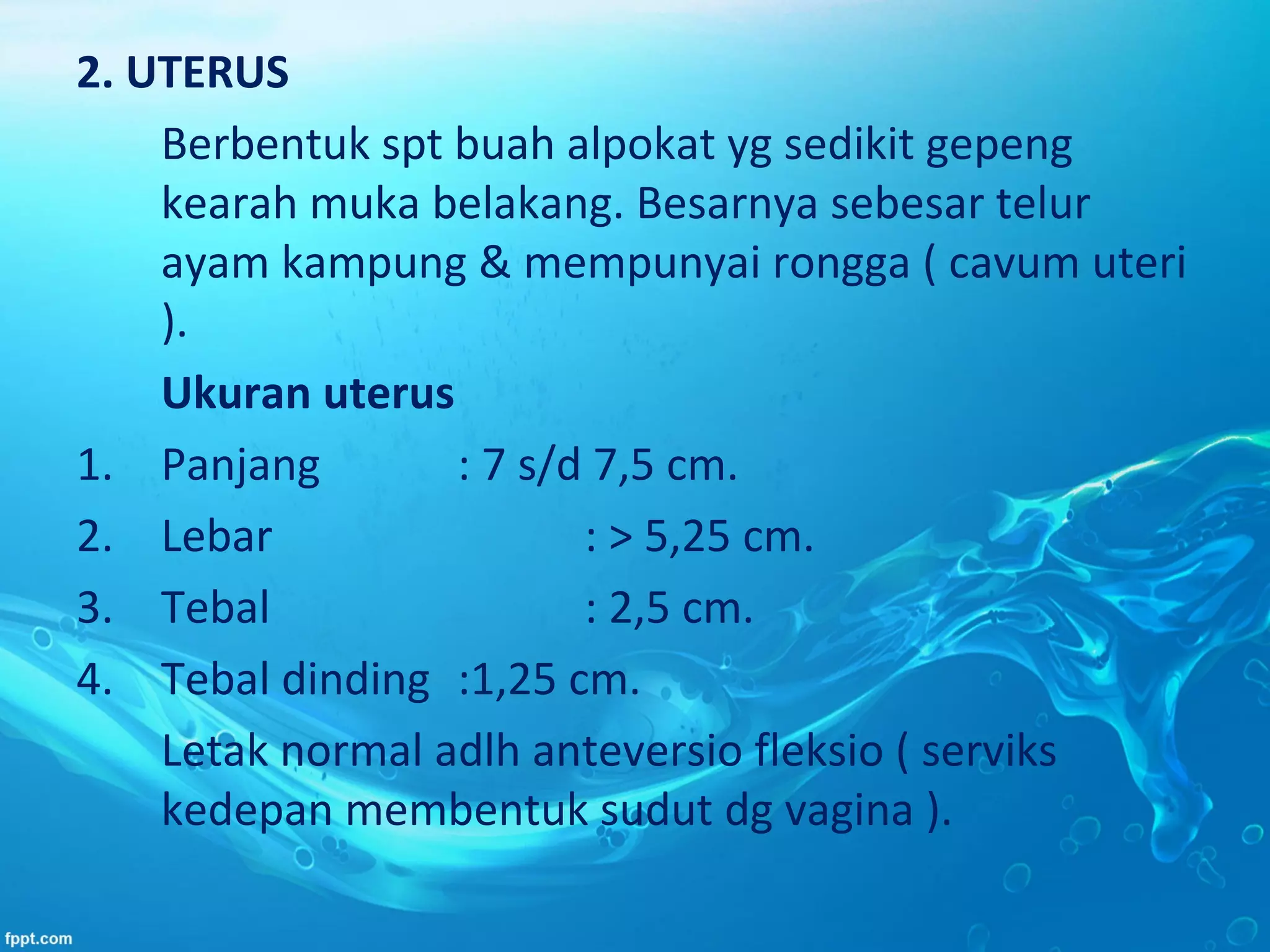 Alat reproduksi wanita | PPT