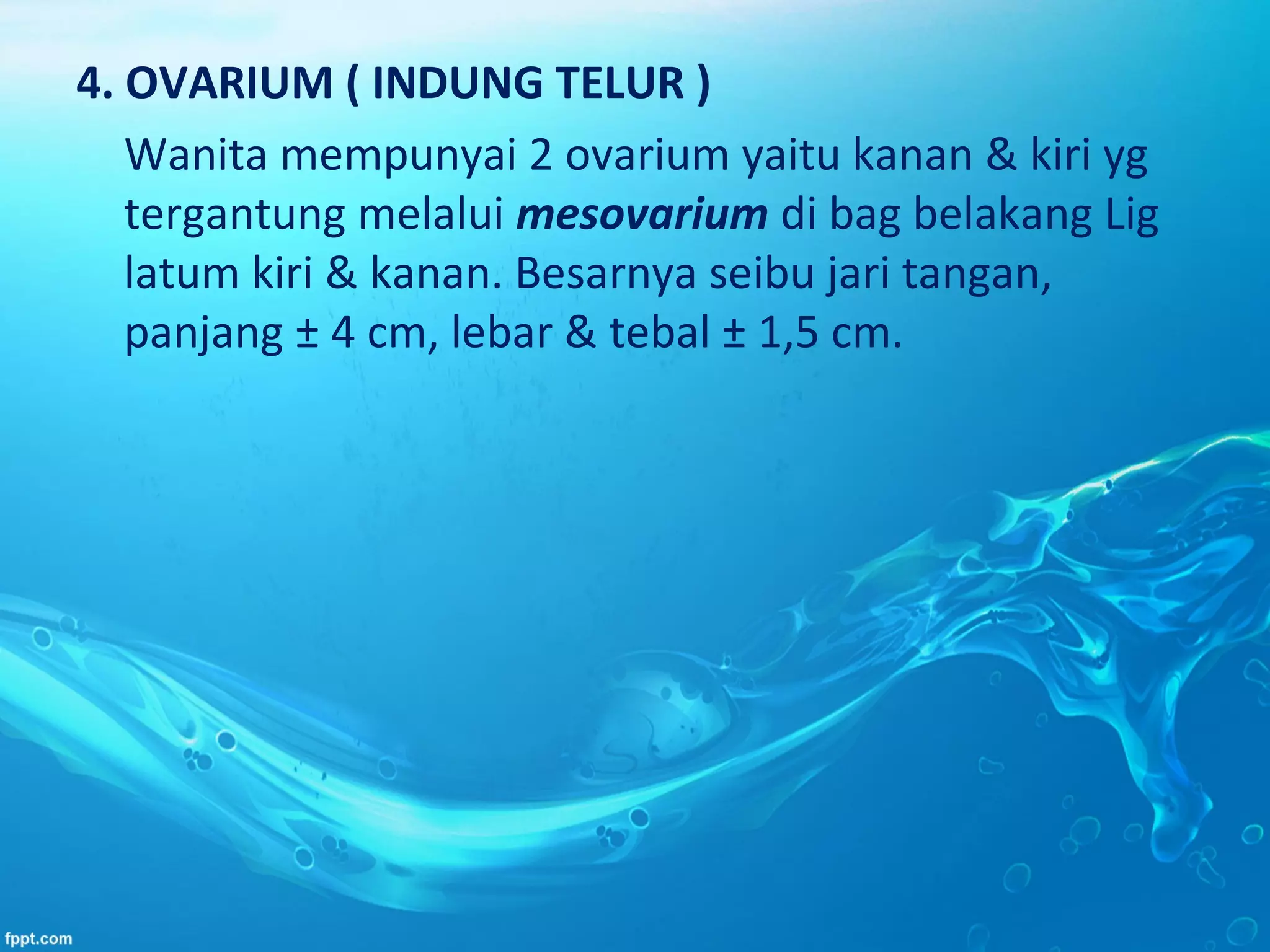 Alat reproduksi wanita | PPT