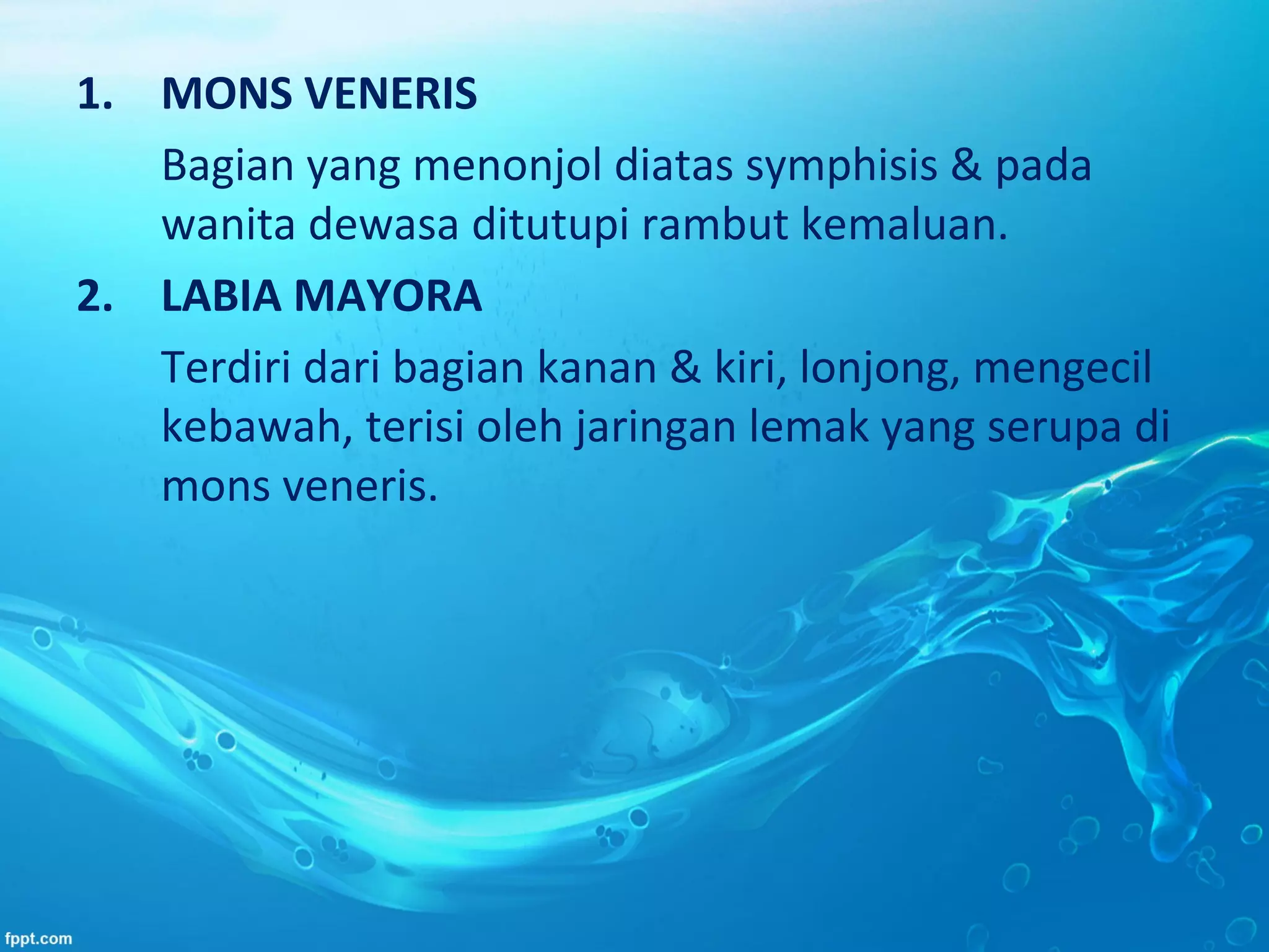 Alat reproduksi wanita | PPT