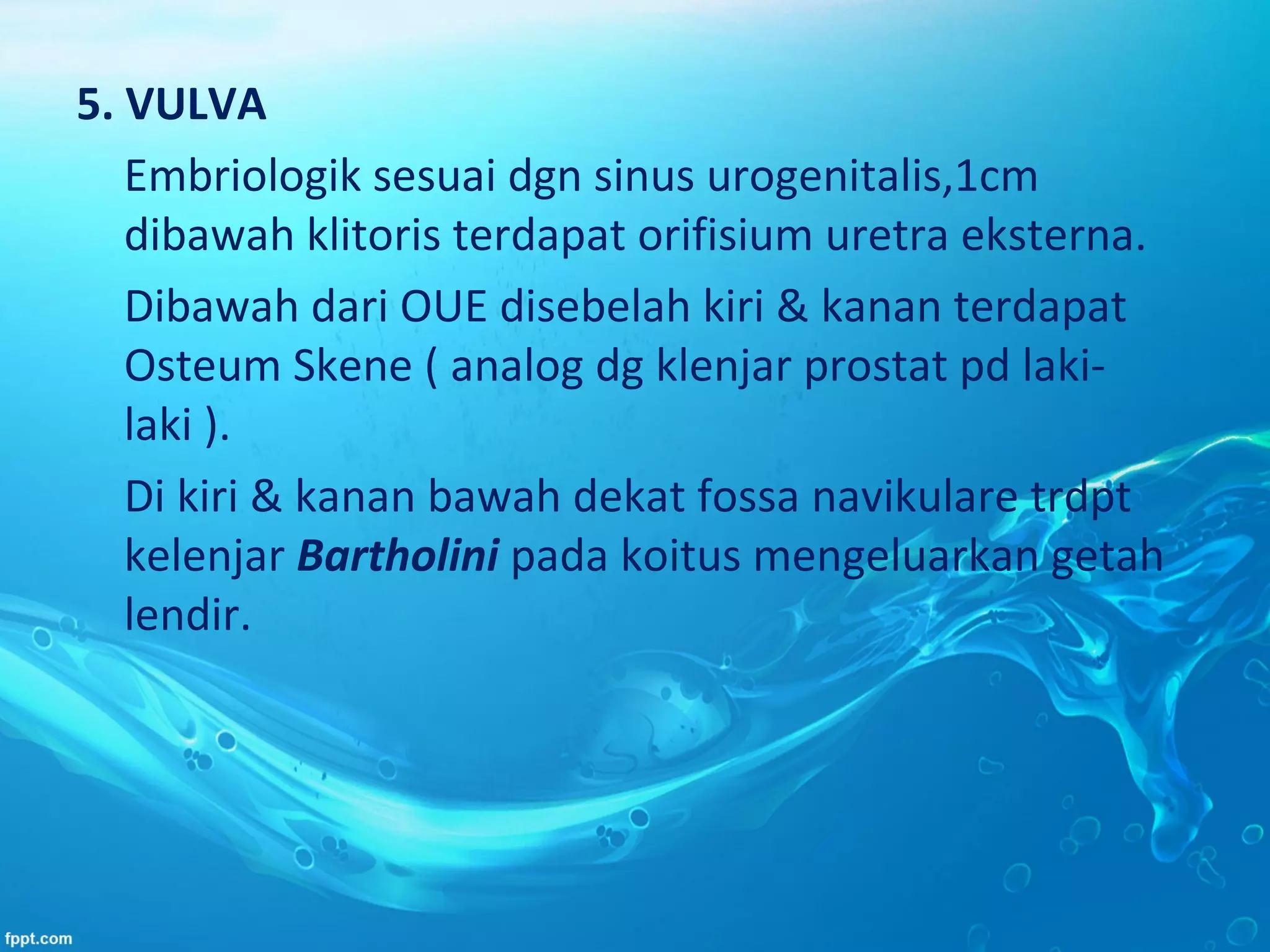 Alat reproduksi wanita | PPT