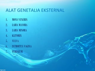 Alat reproduksi wanita | PPT
