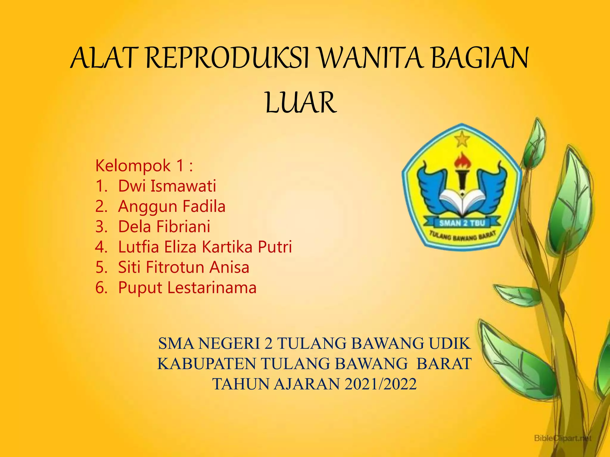 ALAT REPRODUKSI WANITA BAGIAN LUAR DWI ISMAWATI.ppt