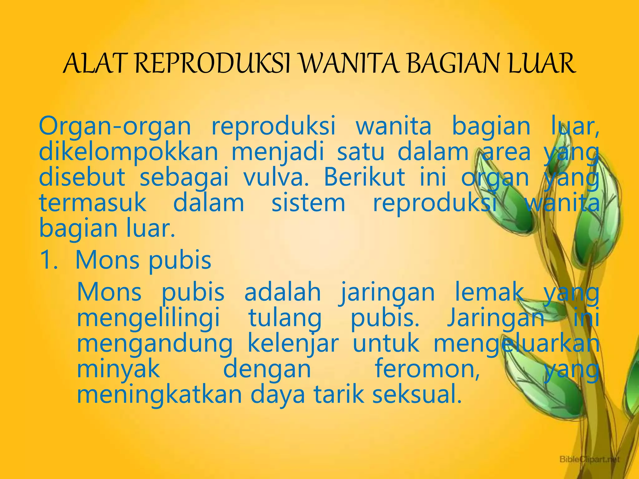 ALAT REPRODUKSI WANITA BAGIAN LUAR DWI ISMAWATI.ppt