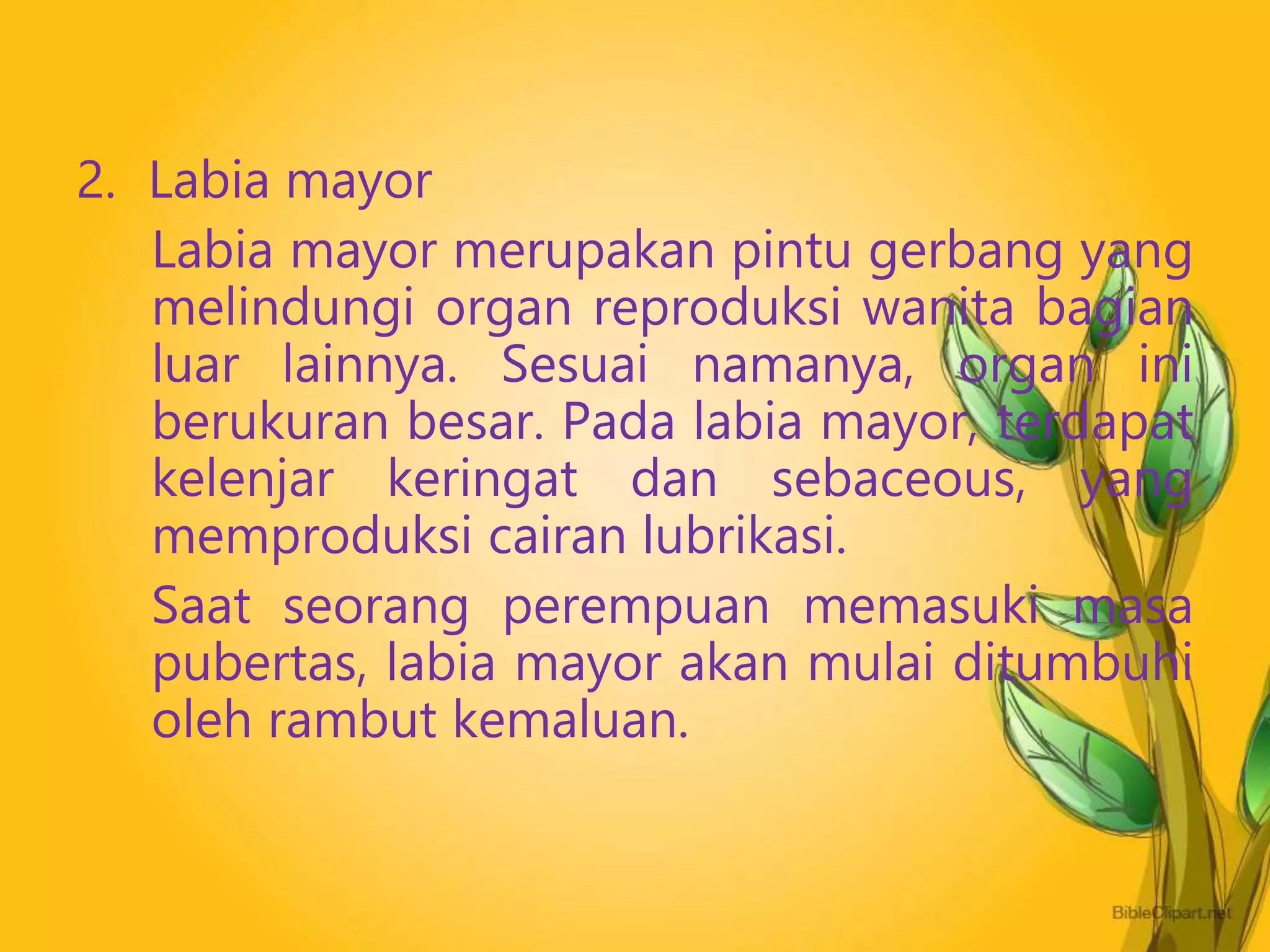 ALAT REPRODUKSI WANITA BAGIAN LUAR DWI ISMAWATI.ppt