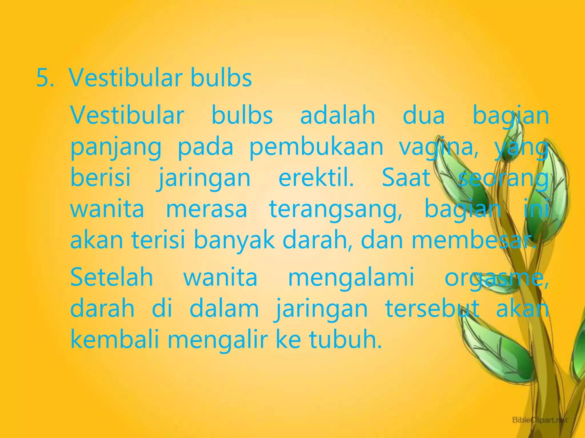 ALAT REPRODUKSI WANITA BAGIAN LUAR DWI ISMAWATI.ppt