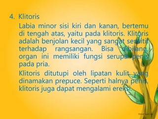 ALAT REPRODUKSI WANITA BAGIAN LUAR DWI ISMAWATI.ppt