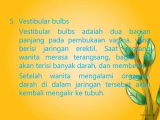 ALAT REPRODUKSI WANITA BAGIAN LUAR DWI ISMAWATI.ppt