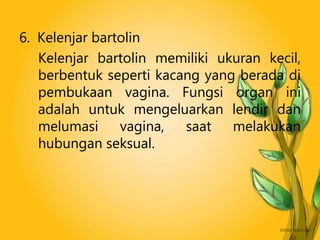 ALAT REPRODUKSI WANITA BAGIAN LUAR DWI ISMAWATI.ppt