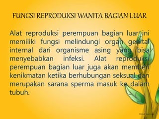 ALAT REPRODUKSI WANITA BAGIAN LUAR DWI ISMAWATI.ppt