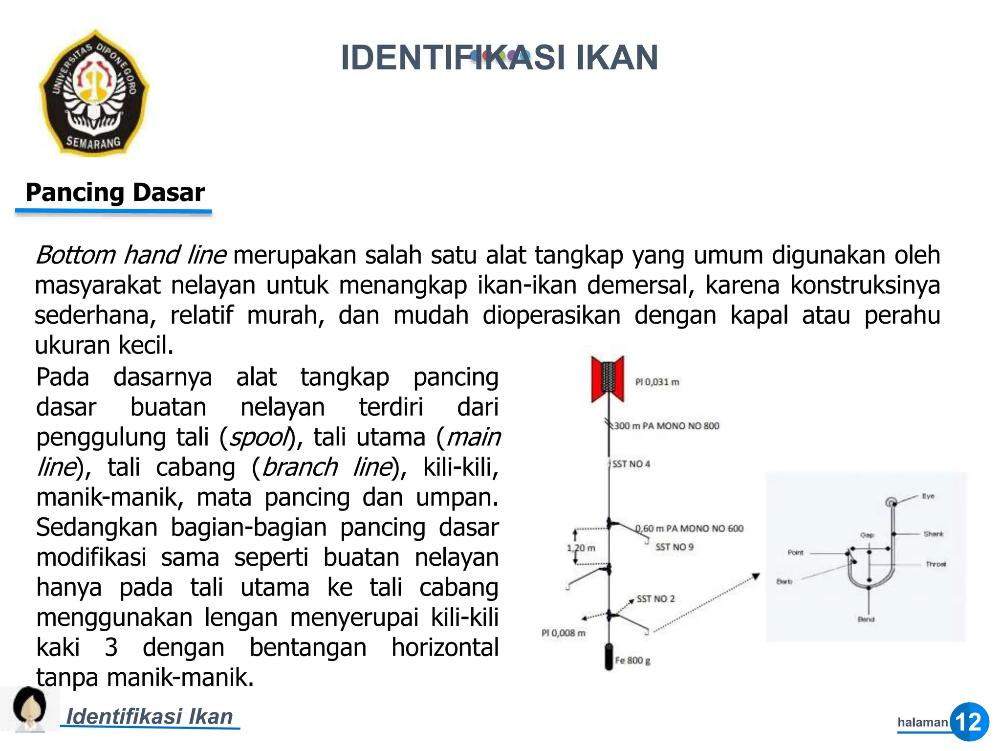 Alat Tangkap Long Line dan Identifikasi Ikan.pptx