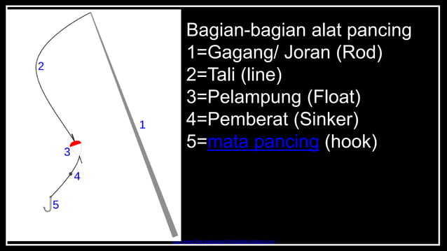 Alat Tangkap Tali dan pancing.pptx