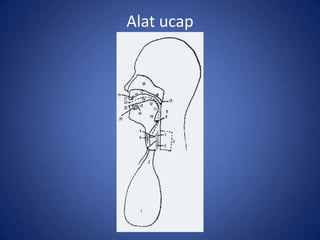 Alat ucap | PPTX