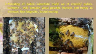 SUMMER MANAGEMENT OF BEE COLONIES BY SACHIN.R.KONDAGURI.pptx