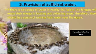 SUMMER MANAGEMENT OF BEE COLONIES BY SACHIN.R.KONDAGURI.pptx
