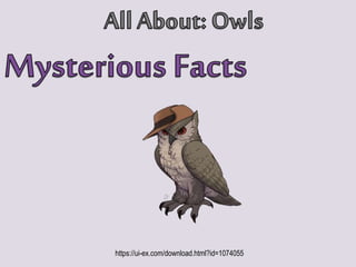 All About Owl | PPSX