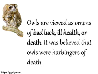 All About Owl | PPSX