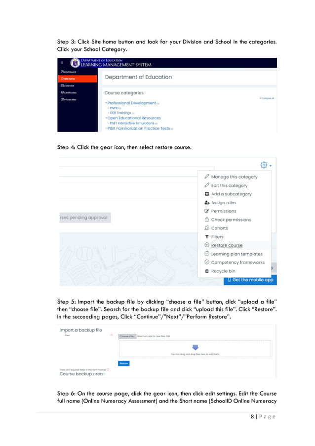 Albay Numeracy Assessment Tools (ALNAT) Manual.pdf | Educational ...