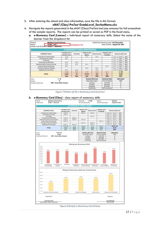 Albay Numeracy Assessment Tools (ALNAT) Manual.pdf | Educational ...
