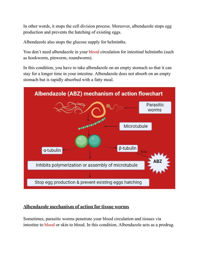 Albendazole Mechanism of Action & Pharmacokinetics Explained | PDF