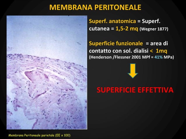 Alberghini fisiologia del peritoneo CAPD dialisi peritoneale | PPT