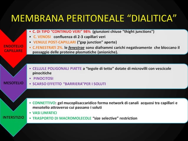 Alberghini fisiologia del peritoneo CAPD dialisi peritoneale | PPT