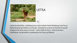 LIPHOOFOLO TSE HLAHA | PPTX